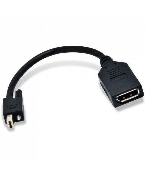 Mini Display Port (Female) to Display Port (Male) Adaptor